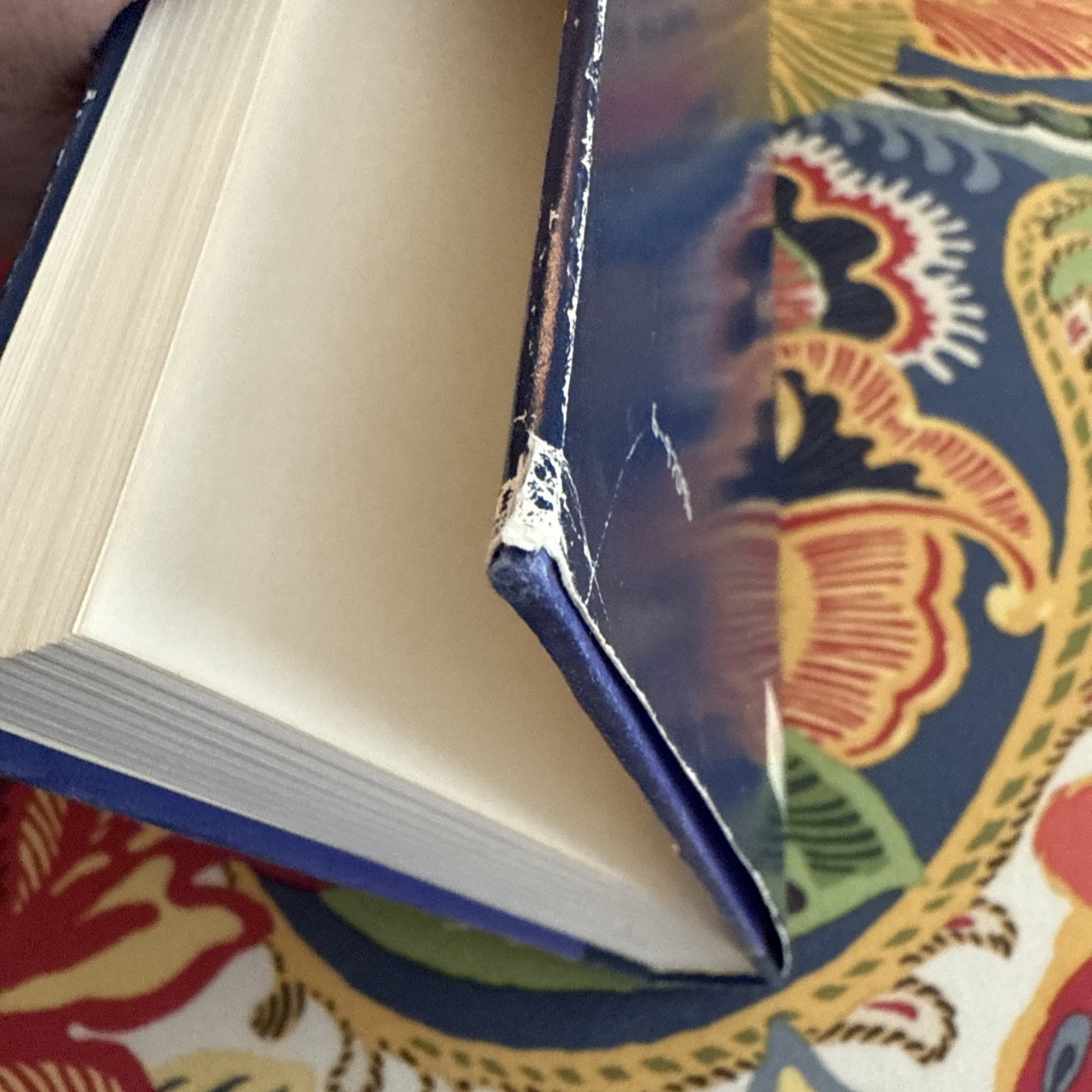 TolkienGuide - MONSTERS and the CRITICS, OTHER ESSAYS by J R R TOLKIEN ...